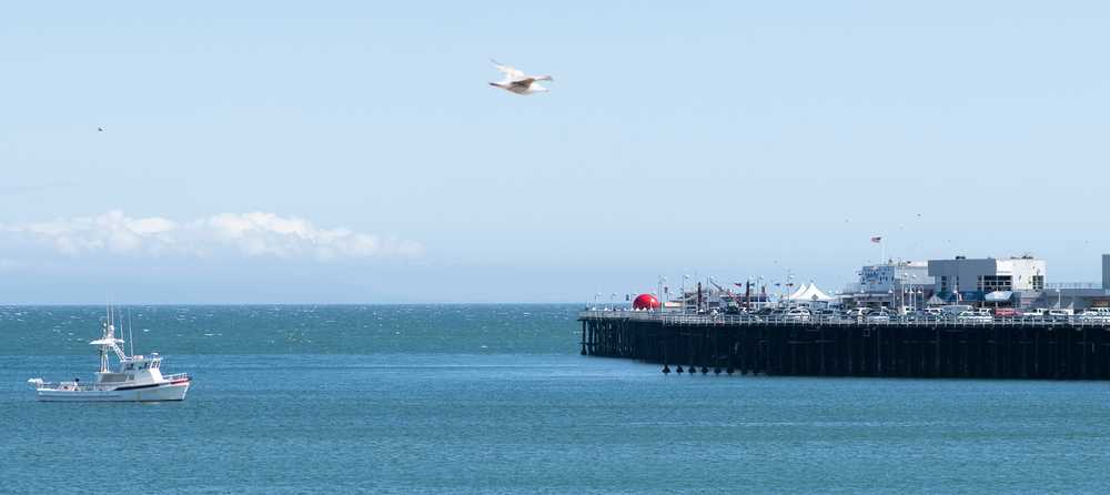 Santa Cruz | RedBall Project | Traveling public art | Kurt Perschke ...
